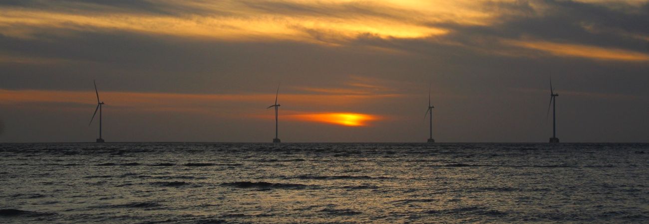 3 Bãi biển Bến Tre cực đẹp dành cho bạn lần đầu du lịch