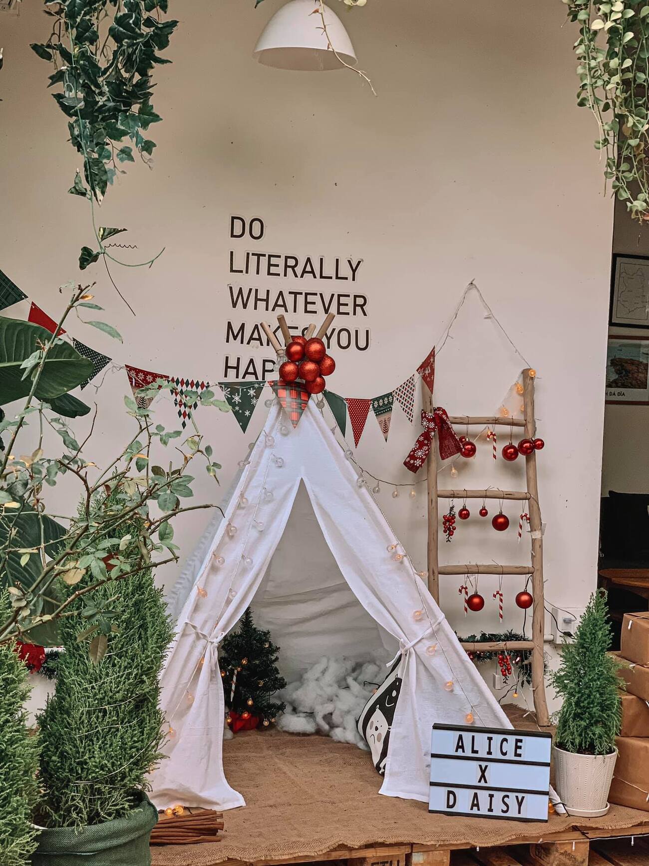 Alice Tea Room - Nơi du khách lạc vào xứ sở thần tiên ở Phú Yên