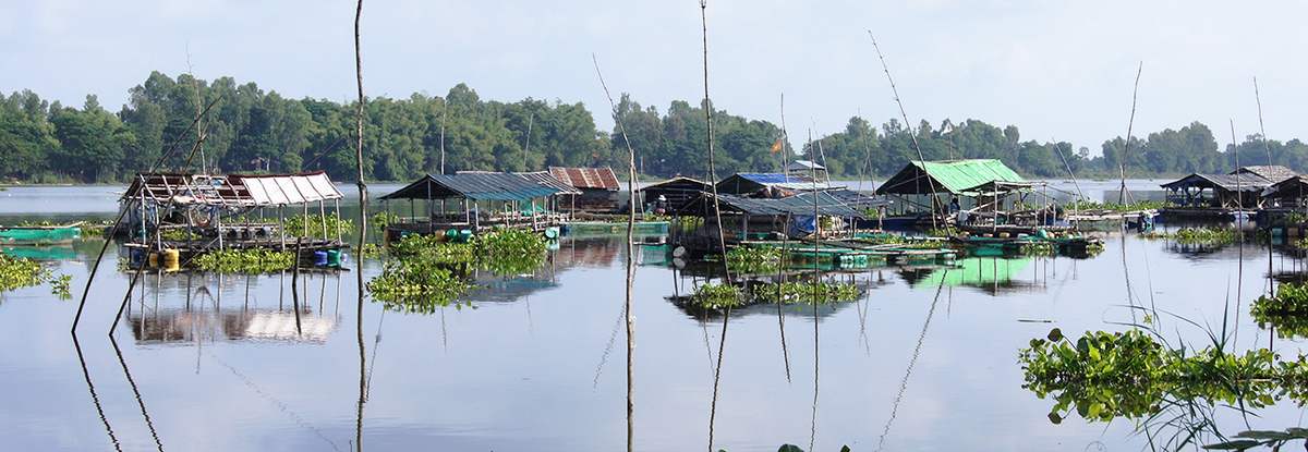 Bỏ túi Kinh nghiệm đi Búng Bình Thiên chi tiết nhất