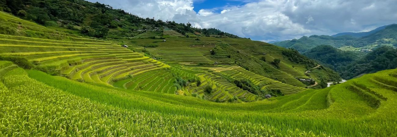 Chinh phục Mù Cang Chải khám phá tất tần tật những điểm đến hấp dẫn