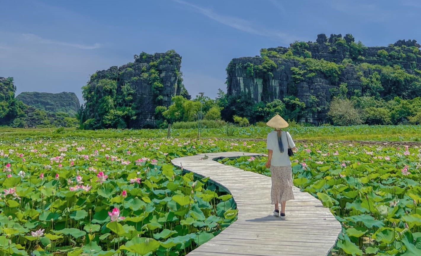 Đầm sen Hang Múa, điểm đến với vẻ đẹp thơ mộng tại Ninh Bình