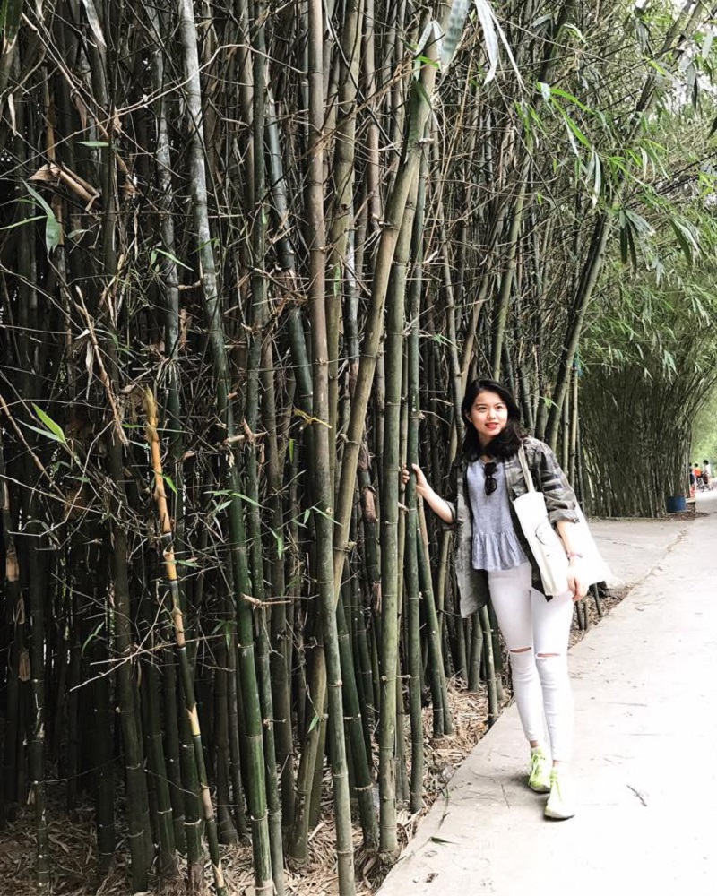 Đến Cần Thơ nghe tiếng chim ríu rít gọi bầy ở Vườn cò Bằng Lăng