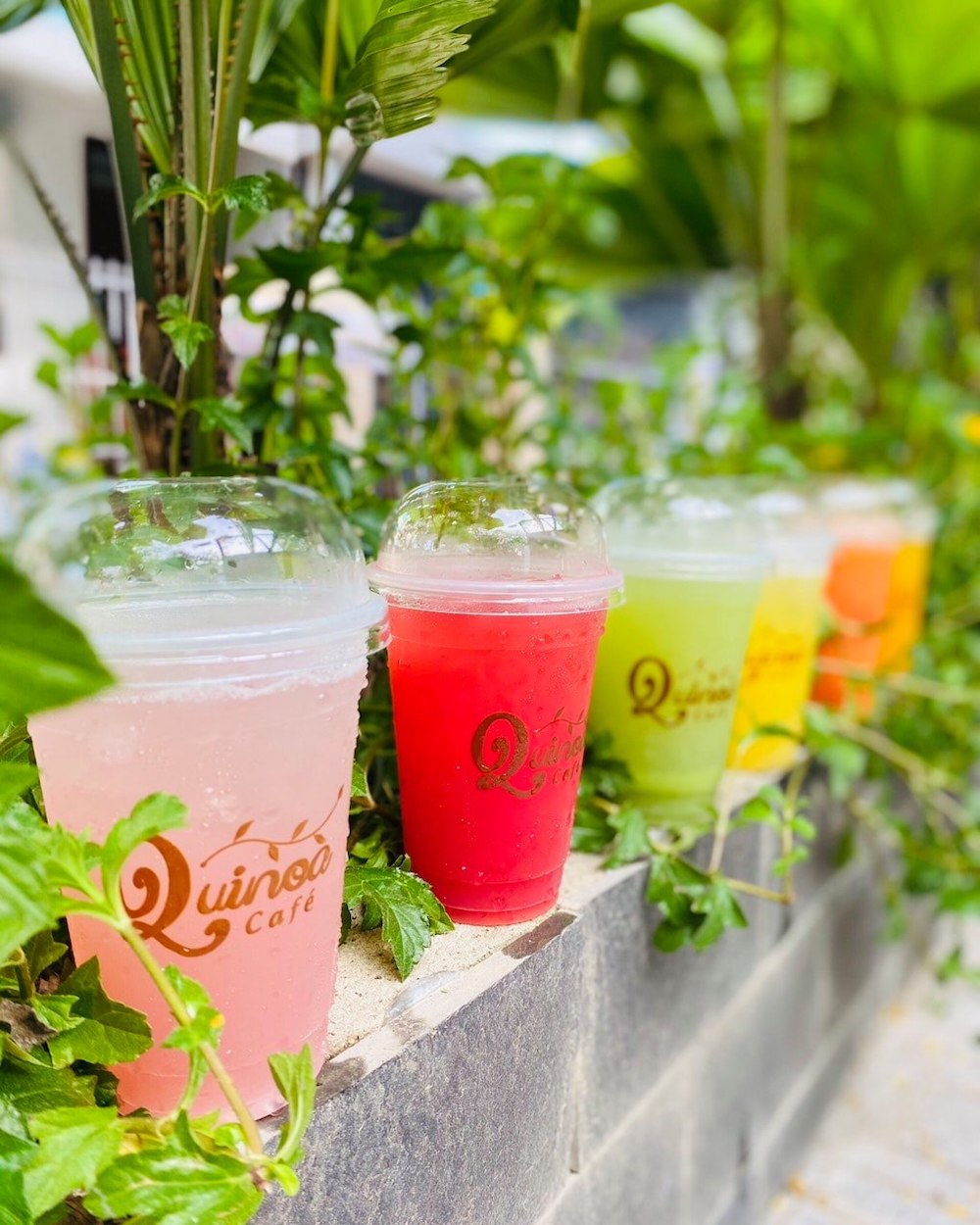 Dịch không vi vu nước ngoài được thì ghé Quinoa Café để có ảnh check-in ...