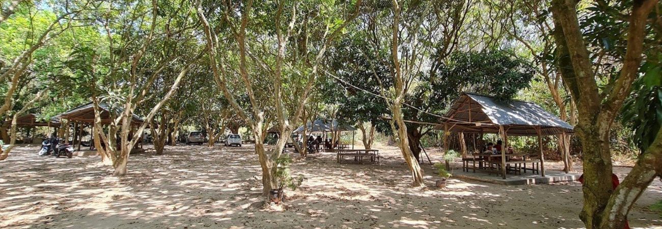 Dừng chân tại Vườn ổi Bảy Thìn thưởng thức món ăn dân dã