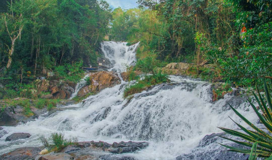 Khám phá sự hấp dẫn bên trong thác Datanla giữa lòng Đà Lạt mộng mơ