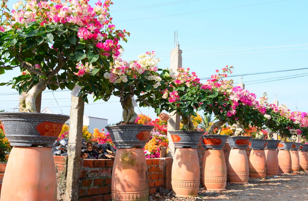 Điểm tham quan tại Bến Tre - Cẩm nang du lịch | Trang 2