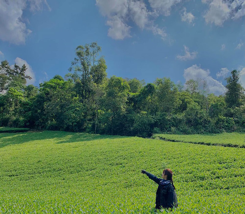 Rong ruổi Review Mù Cang Chải và những bản làng bình yên