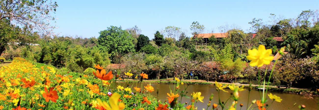 Khám phá Khu du lịch sinh thái KoTam đầy sắc màu giữa lòng Buôn Mê