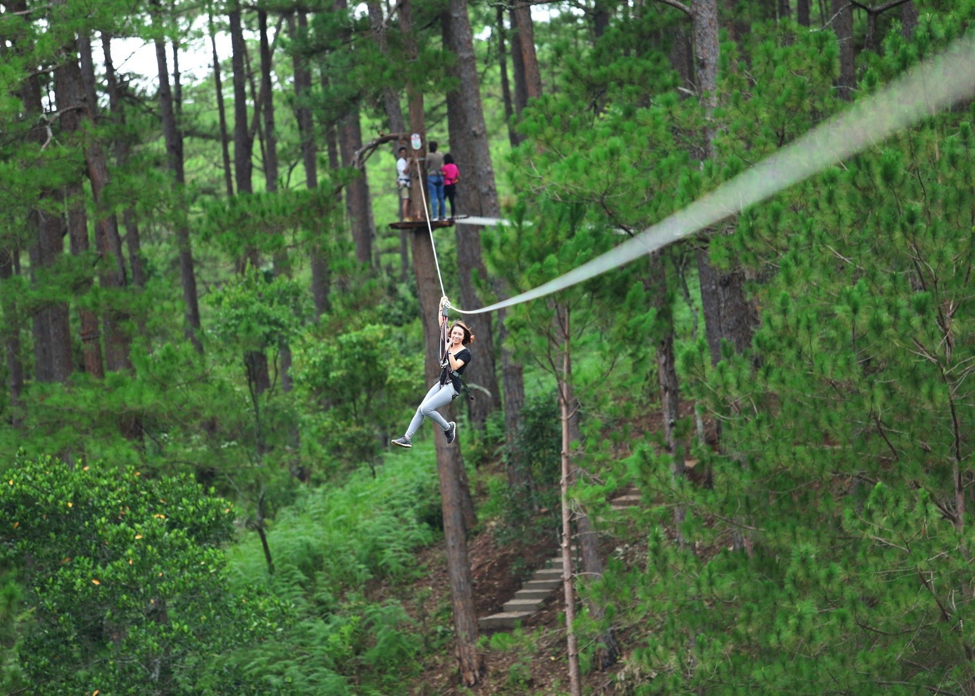 Thử thách bản thân tại Datanla High Rope Course với trò đu dây zipline ...