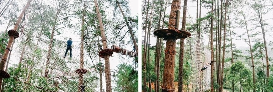 Thử thách bản thân tại Datanla High Rope Course với trò đu dây zipline ...