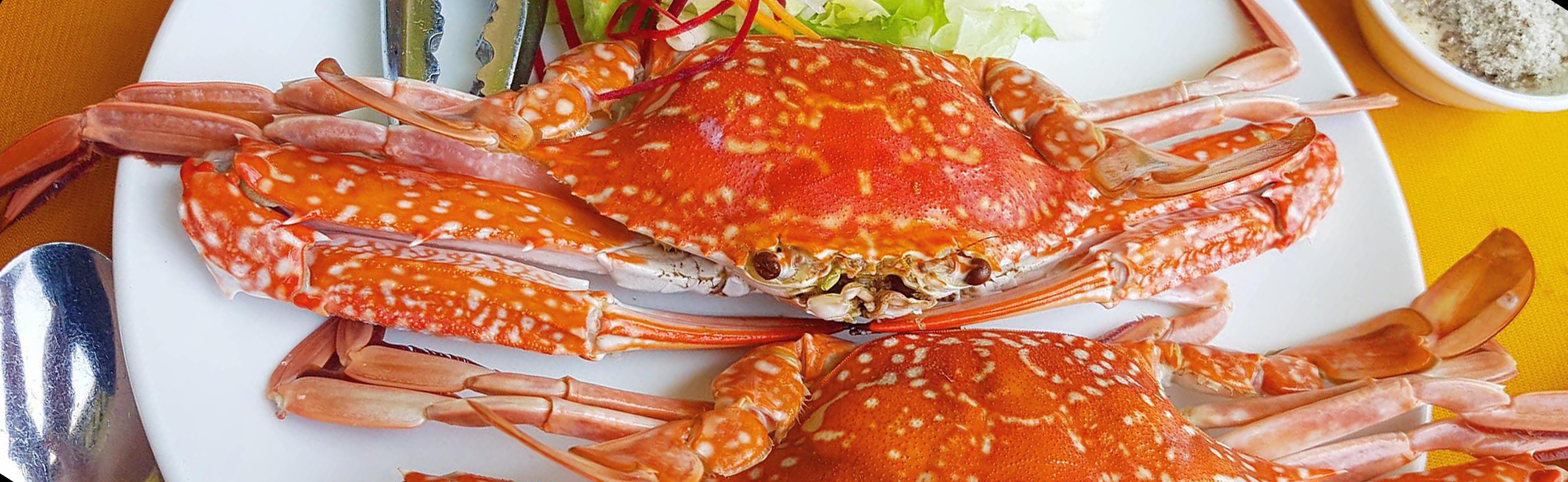 Thưởng thức những món ăn siêu ngon từ Ghẹ Côn Đảo